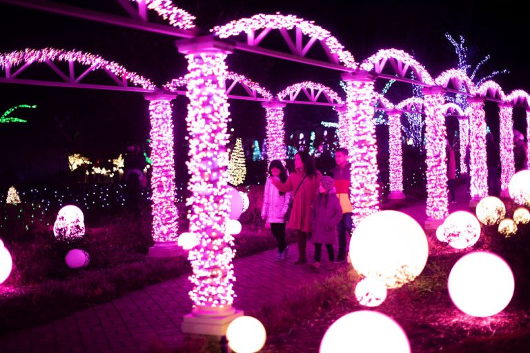 Giveaway! Enter to win Winter Wonder Lights Tickets - Meadow Brook Hall