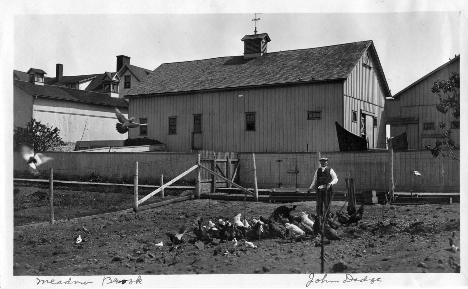 Estate Stories: Auto Pioneer John Dodge Died 105 Years ago - Meadow ...